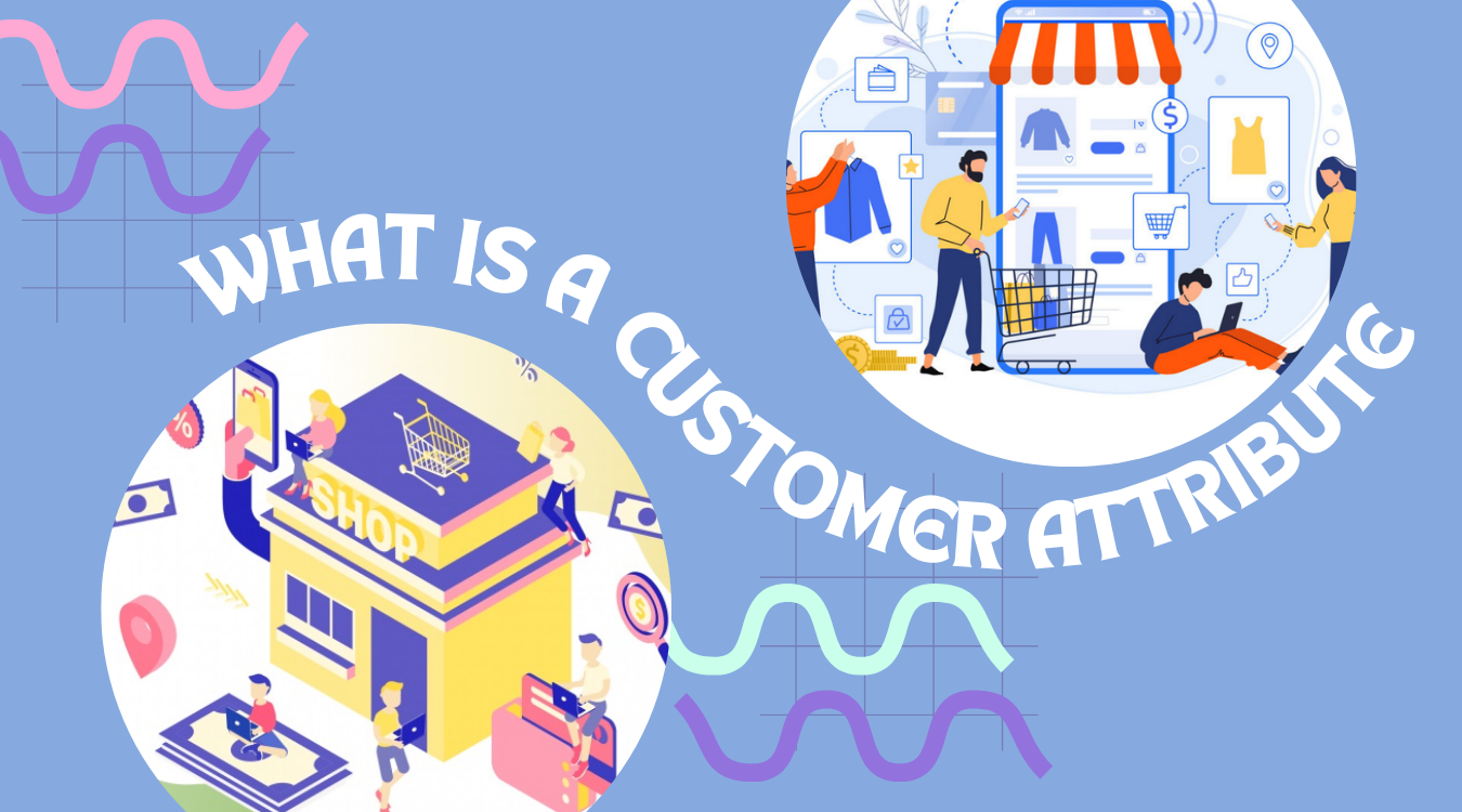Magento Customer Attribute How To Create It For Magento 2 Stores